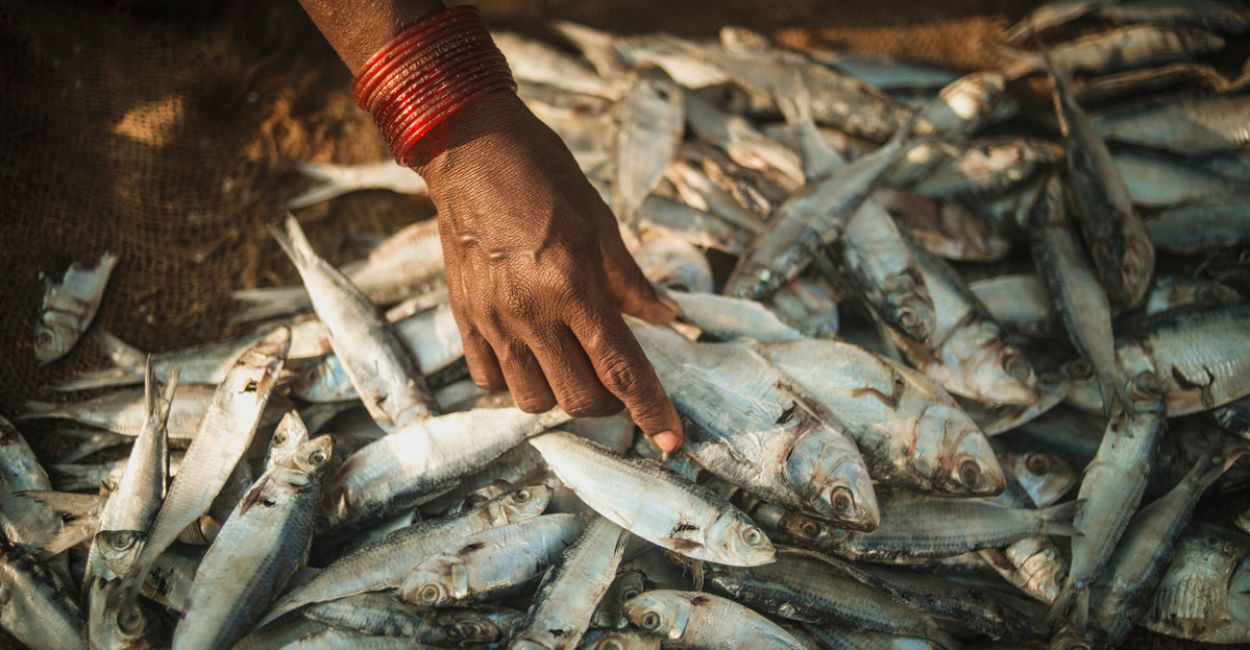 Food security and sustainable livelihoods | ActionAid UK