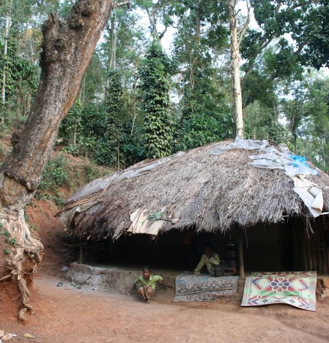 Chembakolli Village