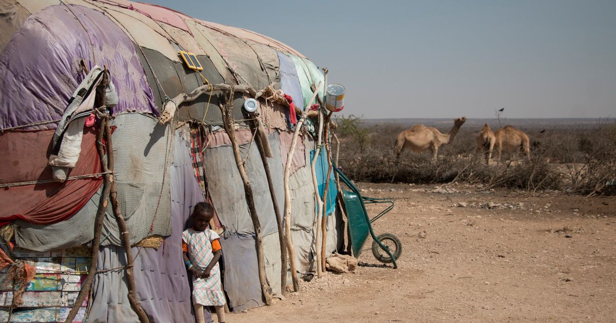 Somalia/Somaliland: the differences and issues explained | ActionAid UK