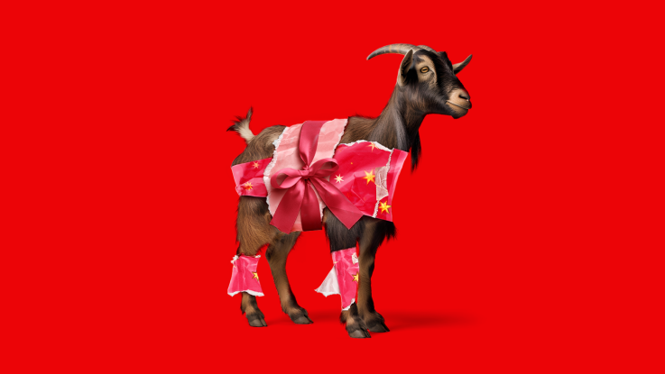 Goat | ActionAid UK